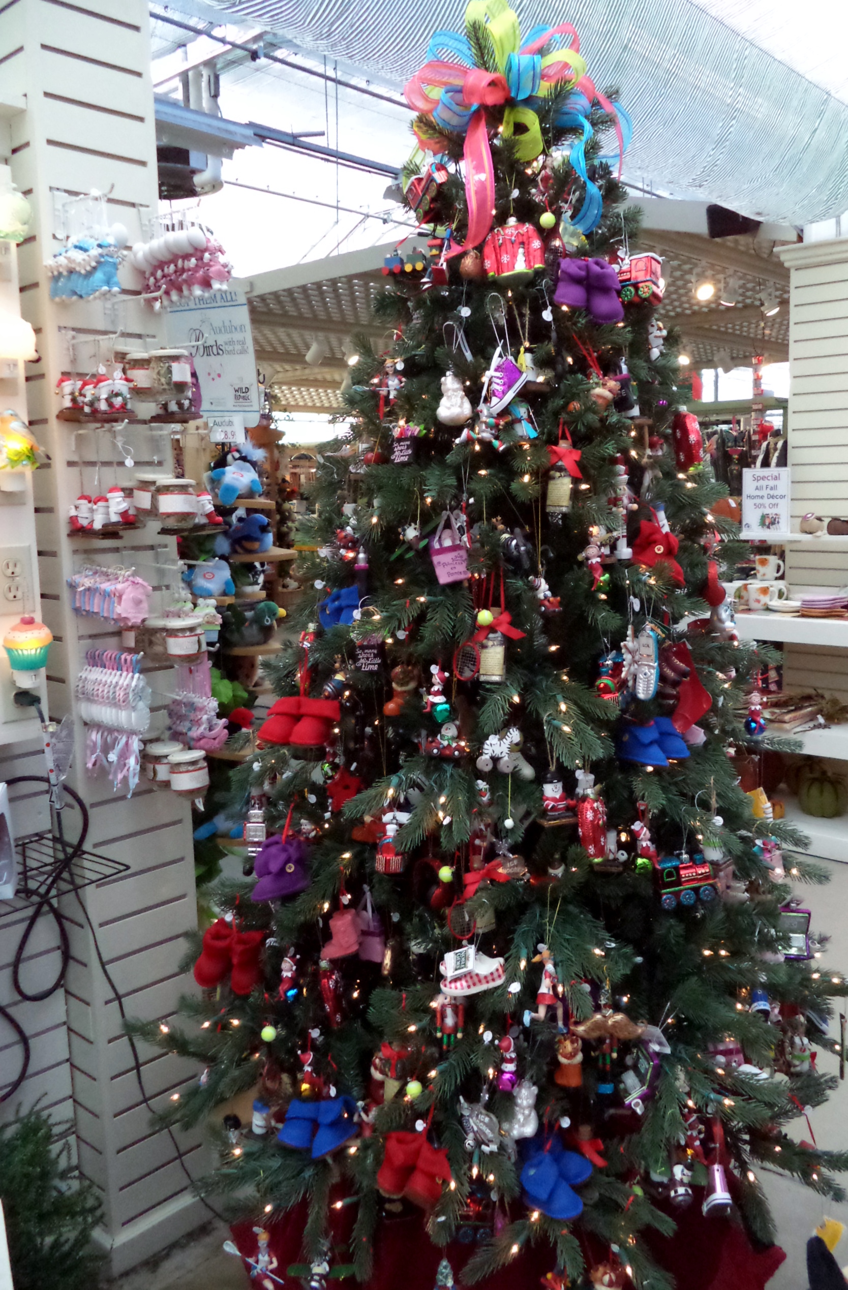 Kids' Tree - Longfellow's Greenhouses