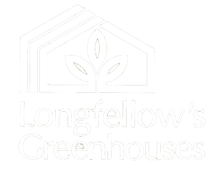 snake plant (15) - Longfellow's Greenhouses