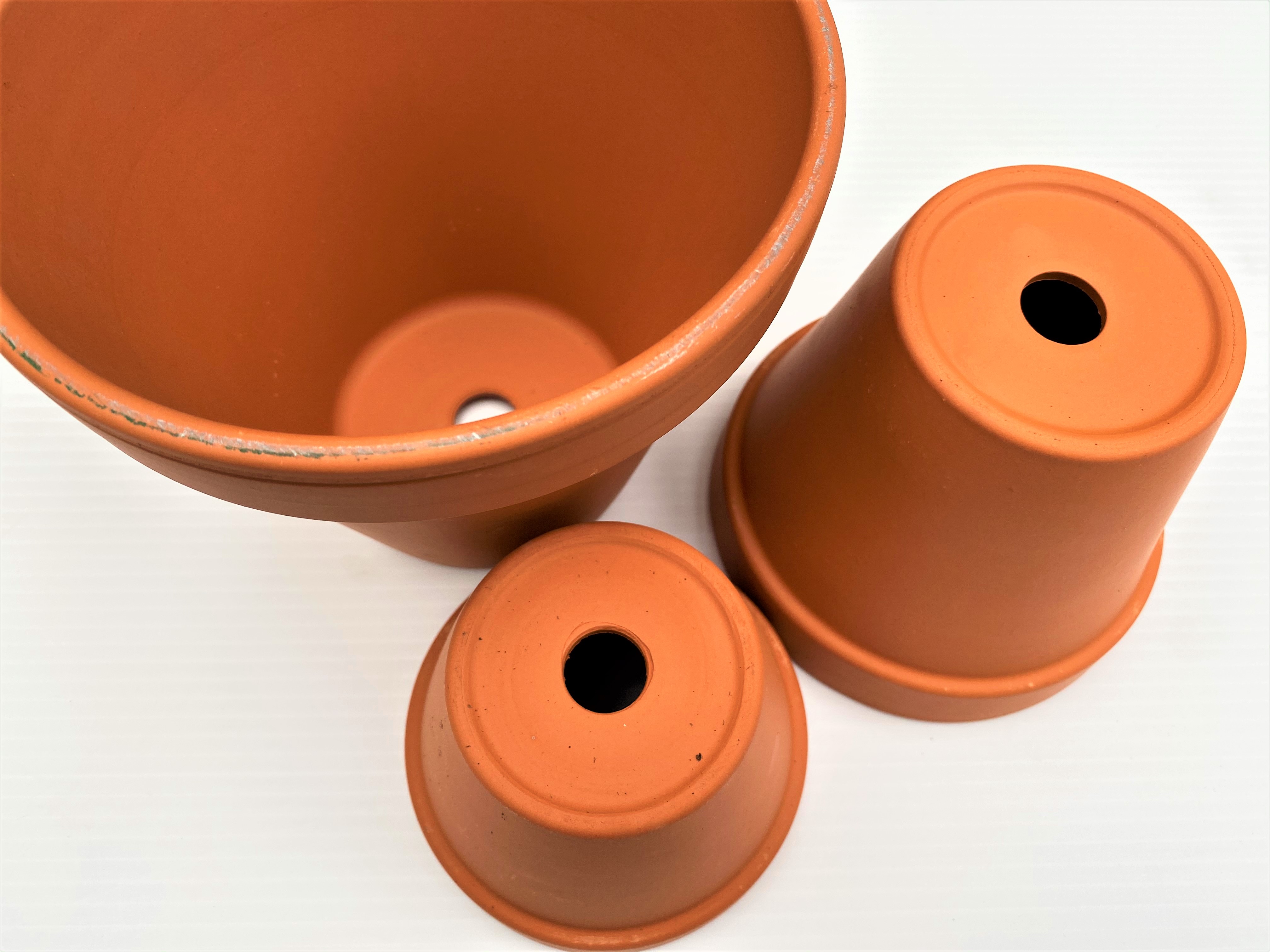 Terracotta - Longfellow's Greenhouses