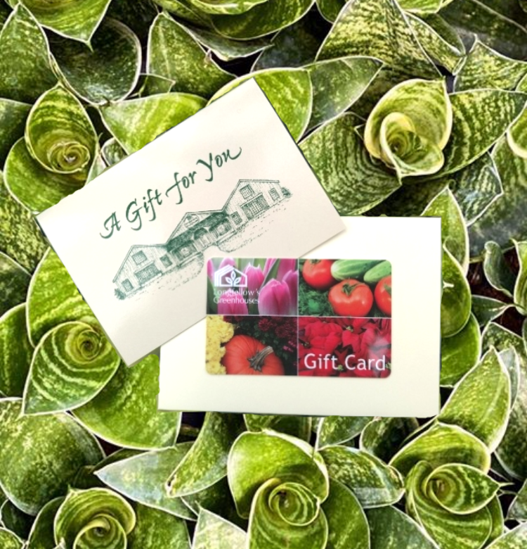 gift card post - Longfellow's Greenhouses