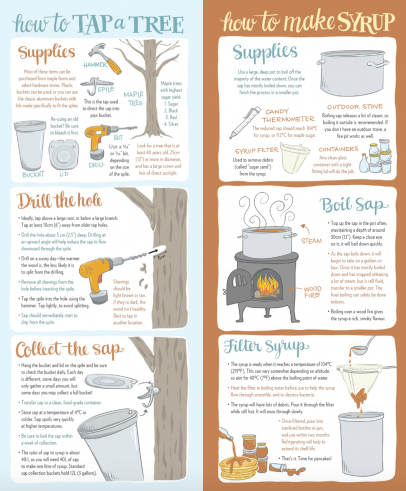 March is for Maple Syrup! - Longfellow's Greenhouses