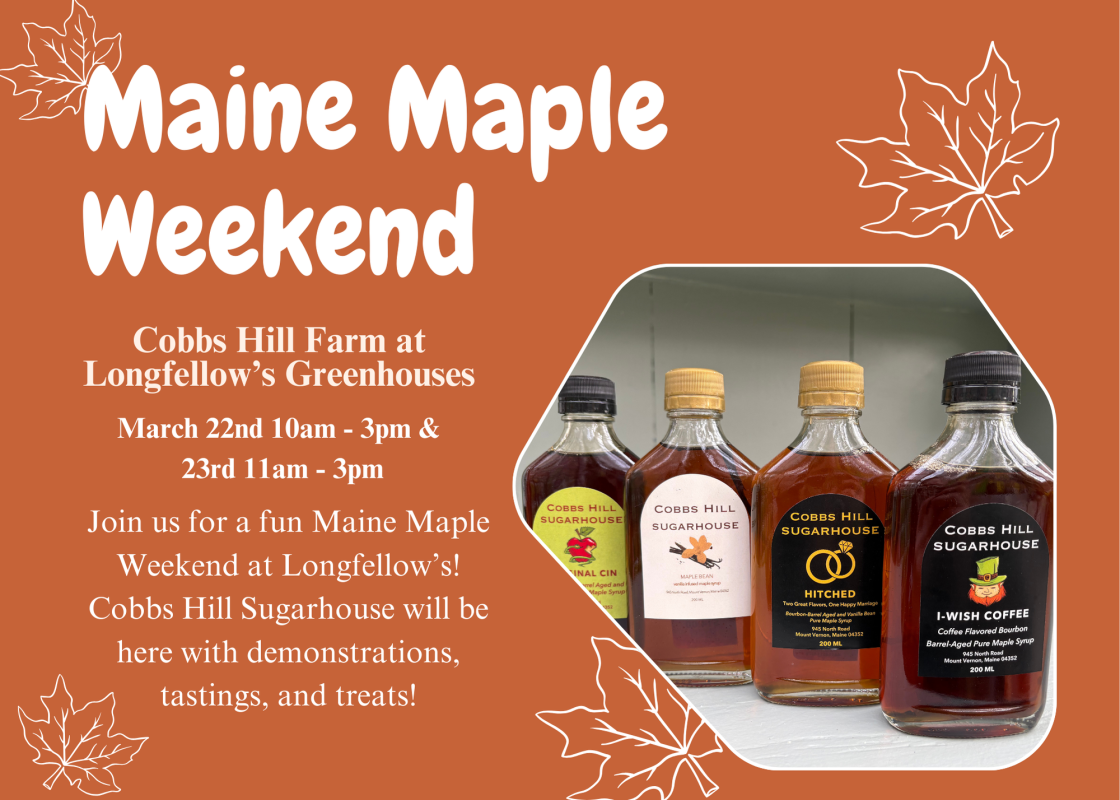 Maine Maple Weekend at Longfellow's - Longfellow's Greenhouses